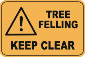 Tree Felling keep clear W30145 - National Safety Signs