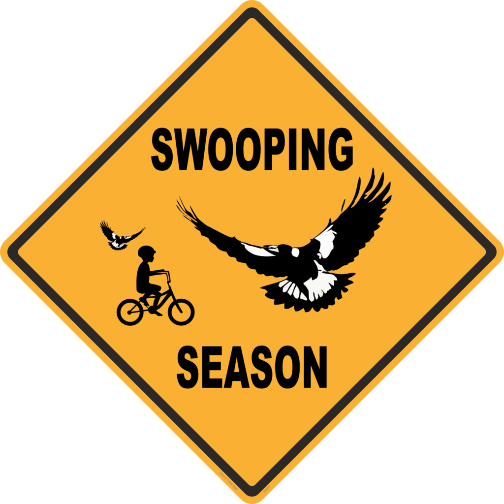 Magpie Warning sign - Proudly Australian Made