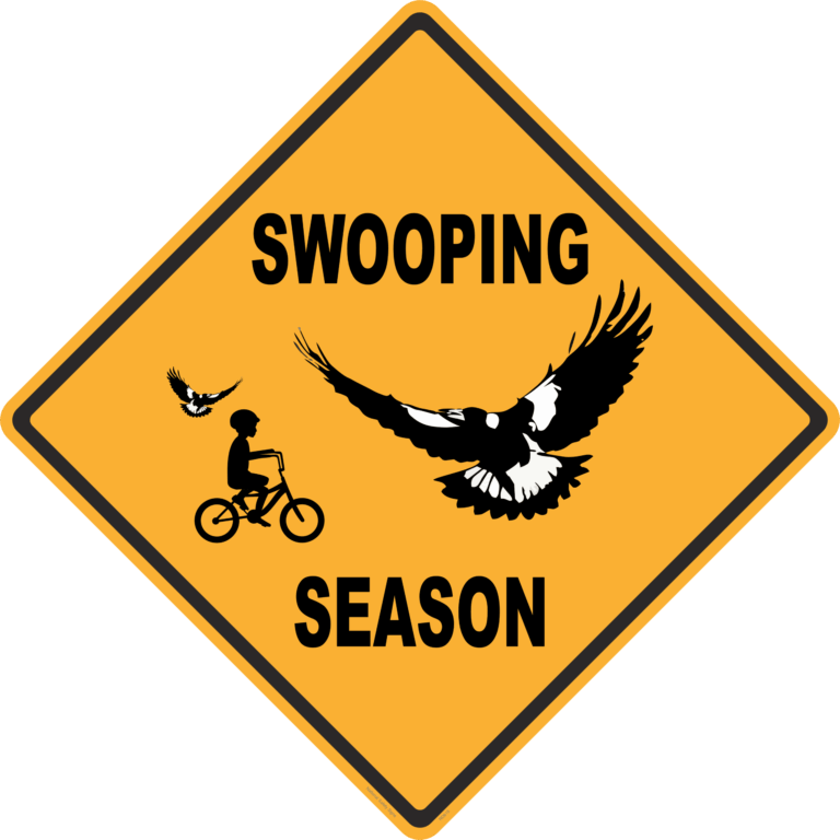 Magpie Warning sign - Proudly Australian Made